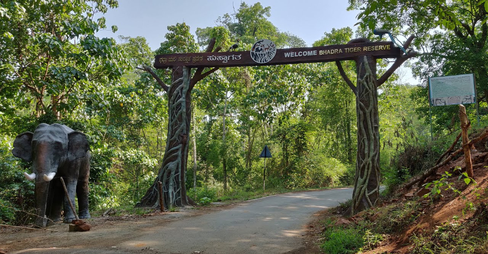 24 Lesser Known Wildlife Sanctuaries in India